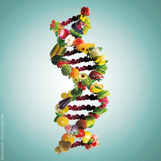 Food Safety Revolution: The Synergy of DNA Sequencing and Blockchain ...